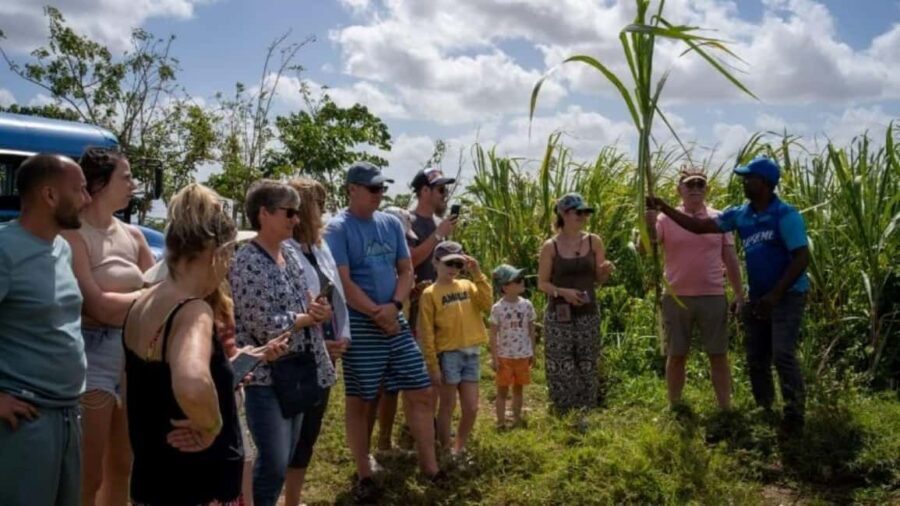 Punta Cana: Safari and City Tour with Horseback Riding - Transportation, Timing, and Group Size