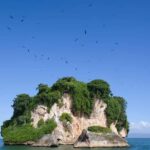 Punta Cana: Samaná Day Trip with Waterfall & Cayo Levantado - Detailed Breakdown of the Experience