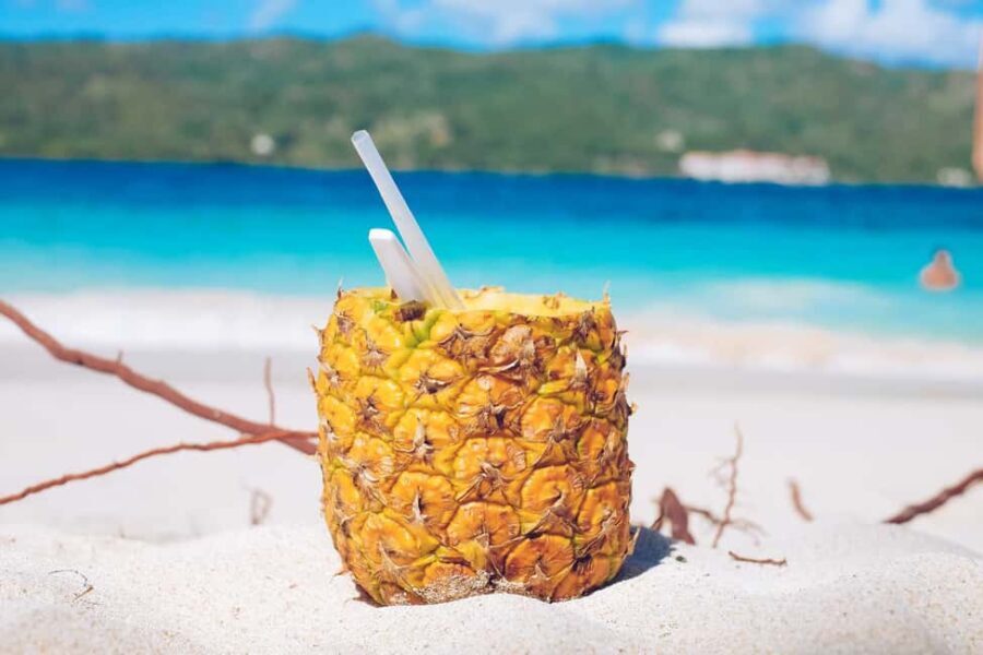 Punta Cana: Samana Full Day Trip Whale Cascada El Limon - Authenticity and Value: What Makes This Tour Stand Out?