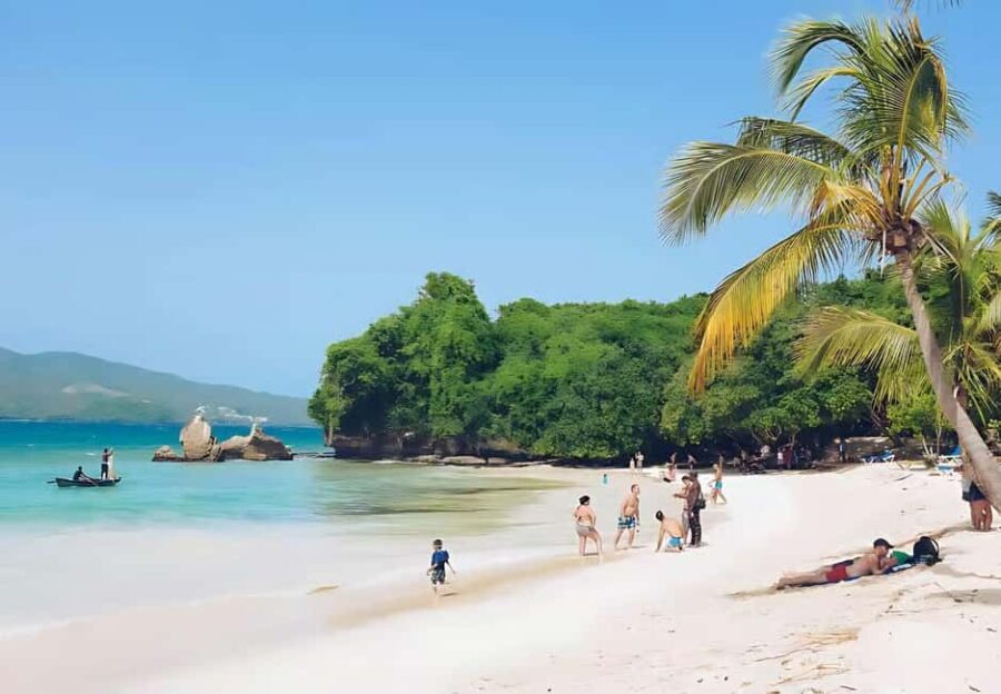 Punta Cana: Samaná Peninsula Whale Watching Day Trip - What’s Practical About This Tour