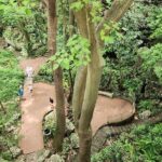 Punta Cana Santo Domingo - Final Thoughts