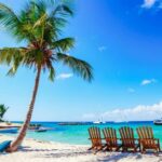 Punta Cana - Santo Domingo: Saona Island VIP Catamaran Tour - What Travelers Say