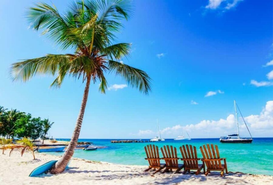 Punta Cana - Santo Domingo: Saona Island VIP Catamaran Tour - What Travelers Say