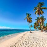 Punta Cana: Saona Crusoe VIP - Practical Details and What to Expect