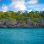 Punta Cana: Saona Islan Full Day With Catamaran and buffet - Authentic Traveler Perspectives