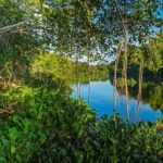 Punta Cana: Saona Island and Chavón River Combo with Guided Tours - Transportation and Group Size