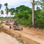 Punta Cana: Saona Island & Buggy Combo Adventure - The Itinerary in Detail