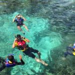 Punta Cana: Saona Island Catamaran Food Drink With Transport - The Fine Points: Pricing, Group Size, and Flexibility