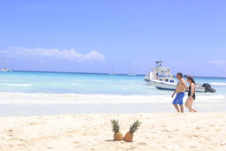 Punta Cana: Saona Island Catamaran Tour & Buffet Lunch - An Honest Look at Practicalities