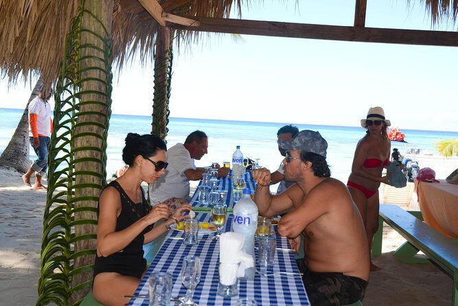 Punta Cana : Saona Island Day Tour - What Travelers Say: Authentic Perspectives