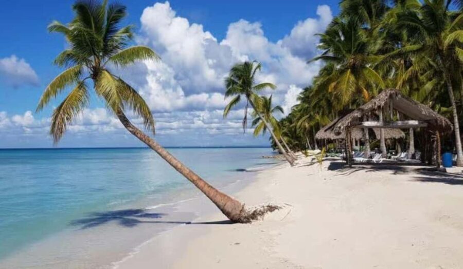 Punta Cana: Saona Island Day Trip with Lobster Lunch - Exploring the Itinerary: What to Expect