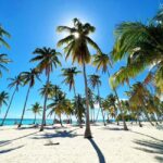 Punta Cana: Saona Island Premium 3 beaches - Practical Details: Transportation, Group Size, and Value