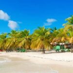 Punta Cana: Saona Island Speedboat Tour with Lunch - The Itinerary Breakdown