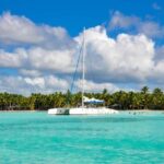 Punta Cana: Saona Island Tour with Transportation - What You Can Expect During the Tour