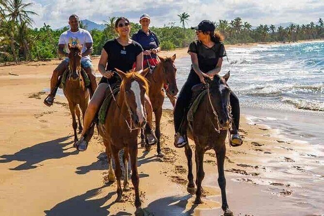 Punta cana scenic tour with lunch horses and cenote - Practical Details and Tips
