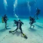 Punta Cana: Scuba Diving Catalina Island Cruise with Lunch - What Makes This Tour Stand Out?