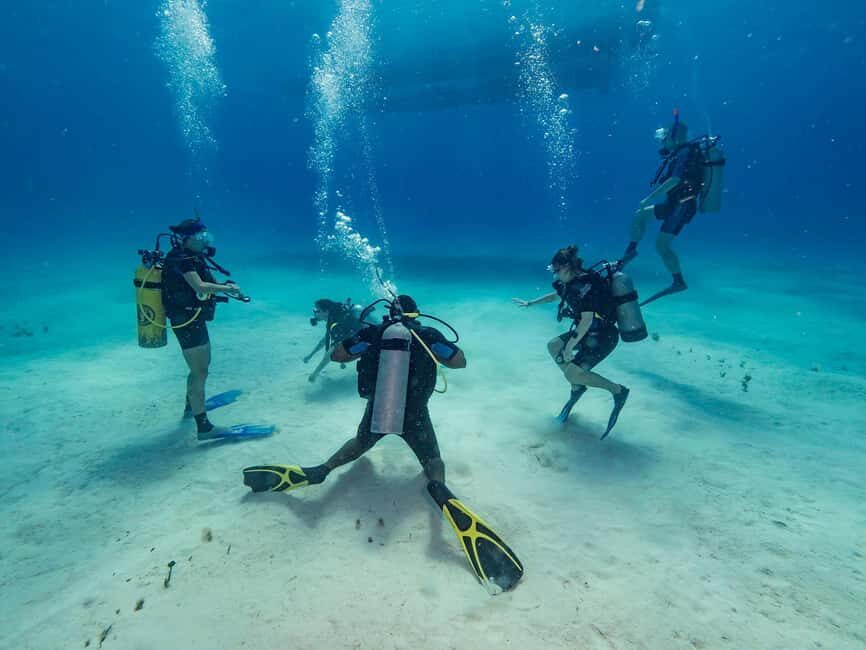 Punta Cana: Scuba Diving Catalina Island Cruise with Lunch - What Makes This Tour Stand Out?