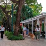 Punta Cana: Shopping Tour with Tastings and Hotel Pickup - What Travelers Say
