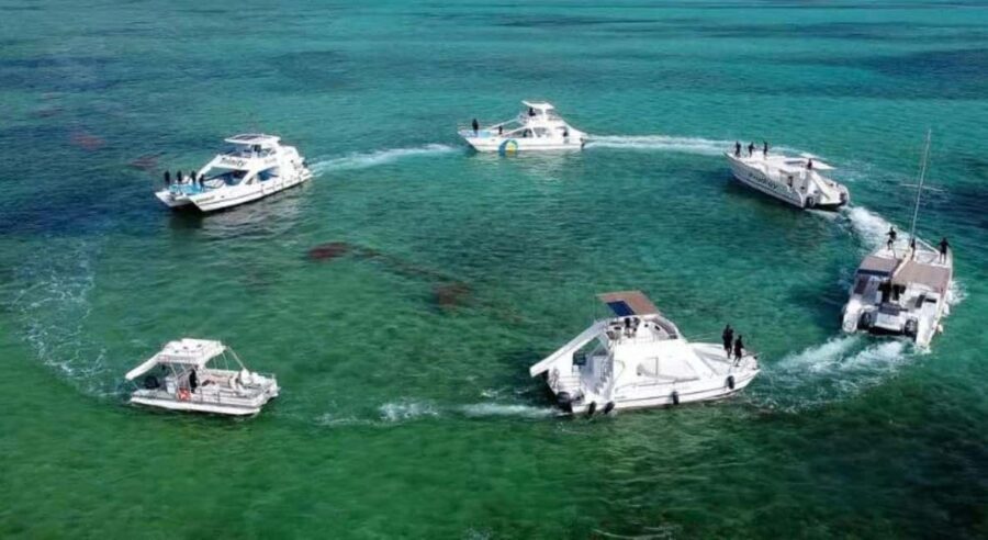 Punta Cana: Snorkeling Cruise with Open Bar & Snacks - Breakdown of the Itinerary