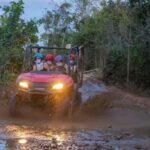Punta Cana: Sunset Buggy Adventure Ride and Carnival Show - What to Expect: An In-Depth Look