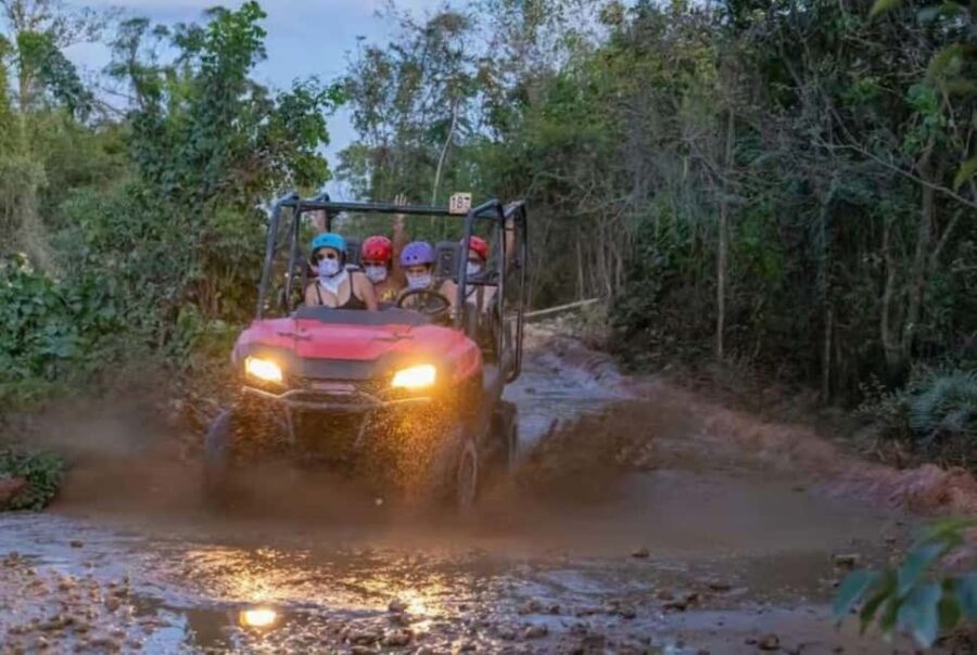Punta Cana: Sunset Buggy Adventure Ride and Carnival Show - What to Expect: An In-Depth Look