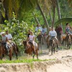 Punta Cana to Samana: El Limon Falls and Bacardi Island - Who Would Enjoy This Tour?