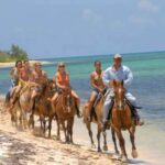 Punta Cana: Uvero Alto Beach Horseback Riding Tour - Who Is This Tour Best For?