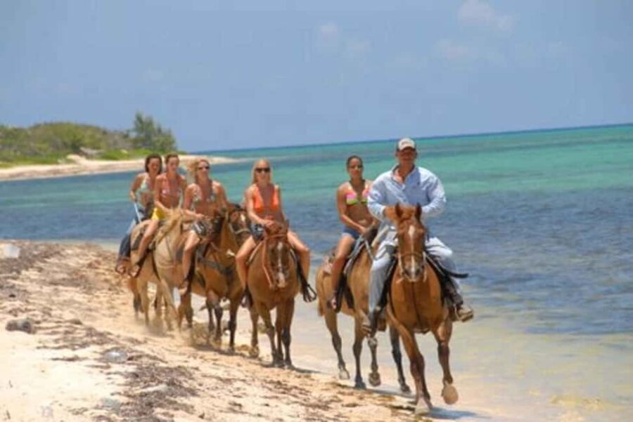 Punta Cana: Uvero Alto Beach Horseback Riding Tour - Who Is This Tour Best For?