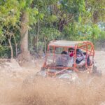 Punta Cana Vip Buggy: Cave, Macao Beach, Free Pick-Up - Who Should Consider This Tour?
