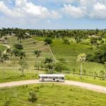 Punta Cana: Xploration Animal Park Entry with Activities - A Detailed Look at the Itinerary