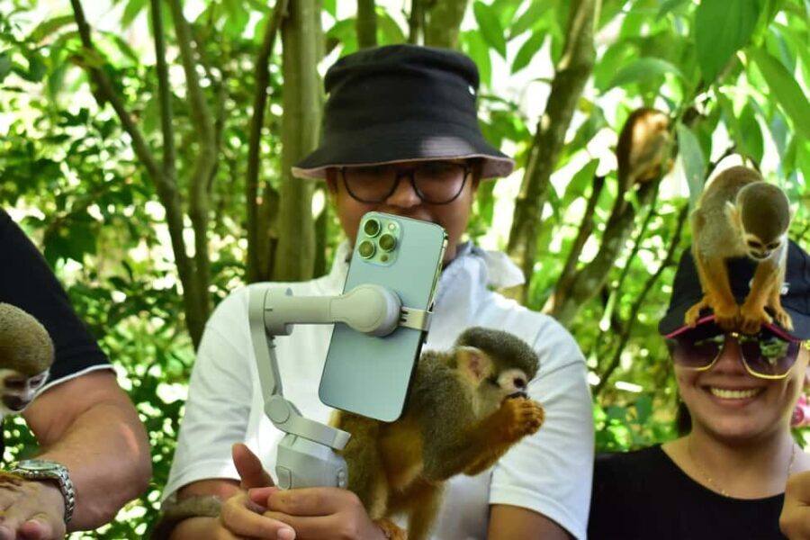 Punta Cana: Zip Line, Monkeyland, & Coconut House Tour - The Itinerary in Detail