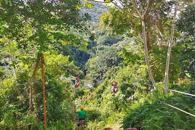 Punta Cana Zipline Adventure Soar Over the Caribbean Jungle - Who Will Love This Tour?
