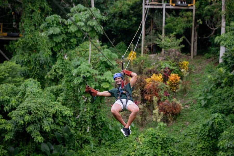 Punta Cana: Zipline Adventure Soar Over the Caribbean Jungle - Who Will Love This Experience?