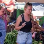 Punta Cana:Samaná Bay,Bacardí Island and El Limón Waterfall - The Itinerary Breakdown