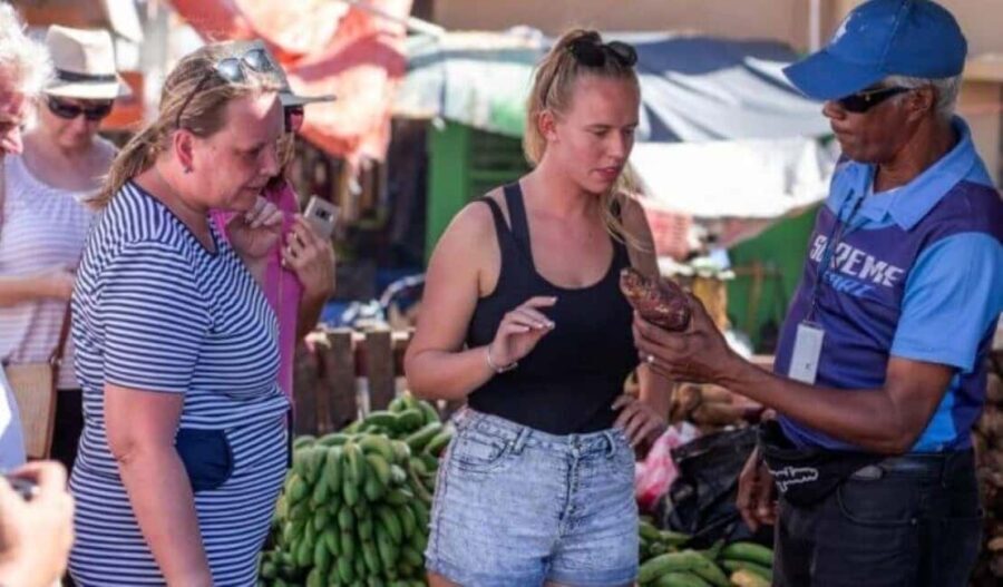 Punta Cana:Samaná Bay,Bacardí Island and El Limón Waterfall - The Itinerary Breakdown