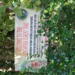 Rain forest and Bird watching - The Value of This Tour