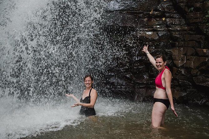 Rainforest Bathing Tour - The Sum Up: Why This Tour Is Worth Considering