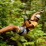 Rainforest Canopy Adventure from Vieux Fort or North Island, St Lucia - The Tour Itself: A Closer Look