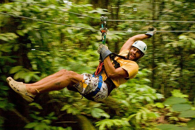 Rainforest Canopy Adventure from Vieux Fort or North Island, St Lucia - The Tour Itself: A Closer Look