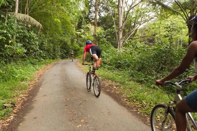 Rainforest Cycling Adventure in St. Lucia - The Sum Up: Who Will Love This Tour?