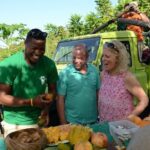 Rainforest Hike & Waterfall Safari St. Lucia From Castries - Authentic Experiences and Authentic Guides