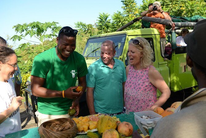 Rainforest Hike & Waterfall Safari St. Lucia From Castries - Authentic Experiences and Authentic Guides