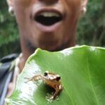 Rainforest River Hike and Waterfalls Adventure - FAQs