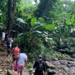 Rainforest River Nature Walk Adventure and Luquillo Beach - The Flow of the Day