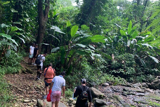 Rainforest River Nature Walk Adventure and Luquillo Beach - The Flow of the Day