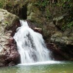 Rainforest Tour - What’s Included and What You Should Consider