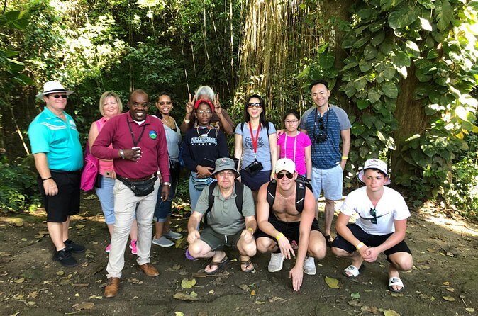 Rainforest Tours in St. Kitts - How the Tour Unfolds: A Detailed Look