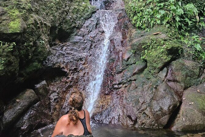 Rainforest Waterfall Hike with Rastafarian Nature Guide - Practical Details & Value