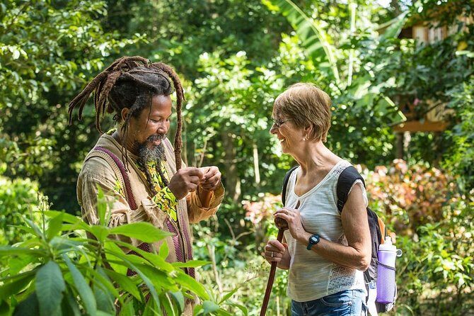 Rastafari Indigenous Village Tour - The Authenticity and Educational Value