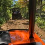 Rastafari Safari Cultural ATV Ride & Ricks Cafe Combo - The Experience: What Sets It Apart